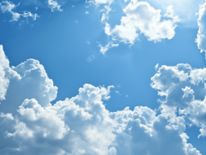 Featured Research – Collective Shift